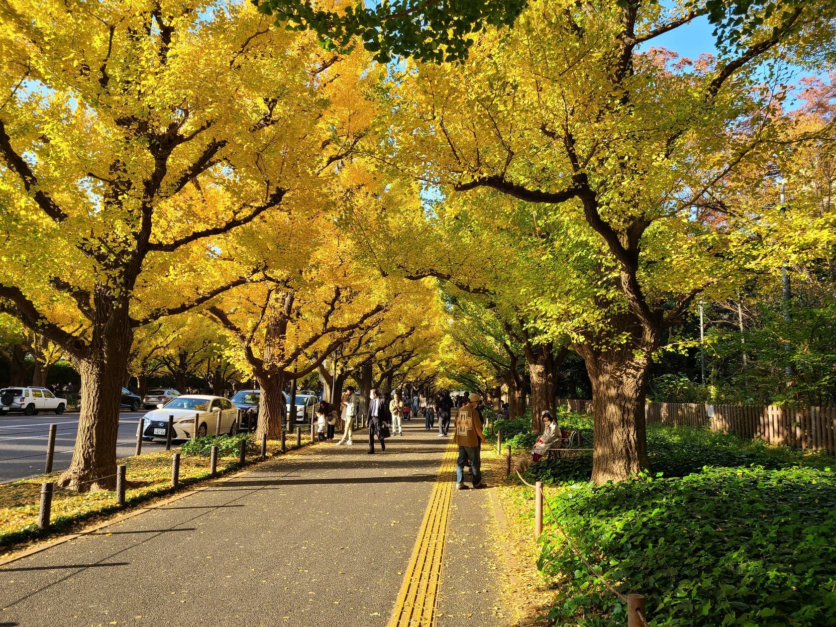 &lt;セール&gt;【外苑前徒歩1分・表参道徒歩8分】【完全個室型レンタルサロン】エステ・リラク・整体最適/備品無料/即予約可・見学歓迎の写真4