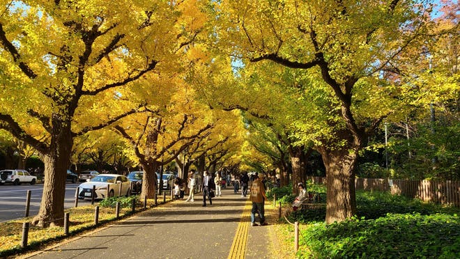 <セール>【外苑前徒歩1分・表参道徒歩8分】【完全個室型レンタルサロン】エステ・リラク・整体最適/備品無料/即予約可・見学歓迎の写真4