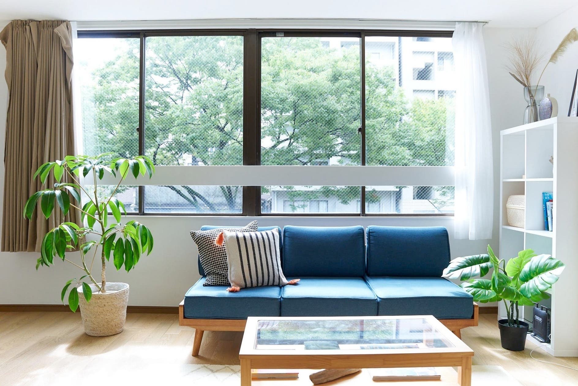 自然光が入るレンタルスペースフォトスタジオの写真21