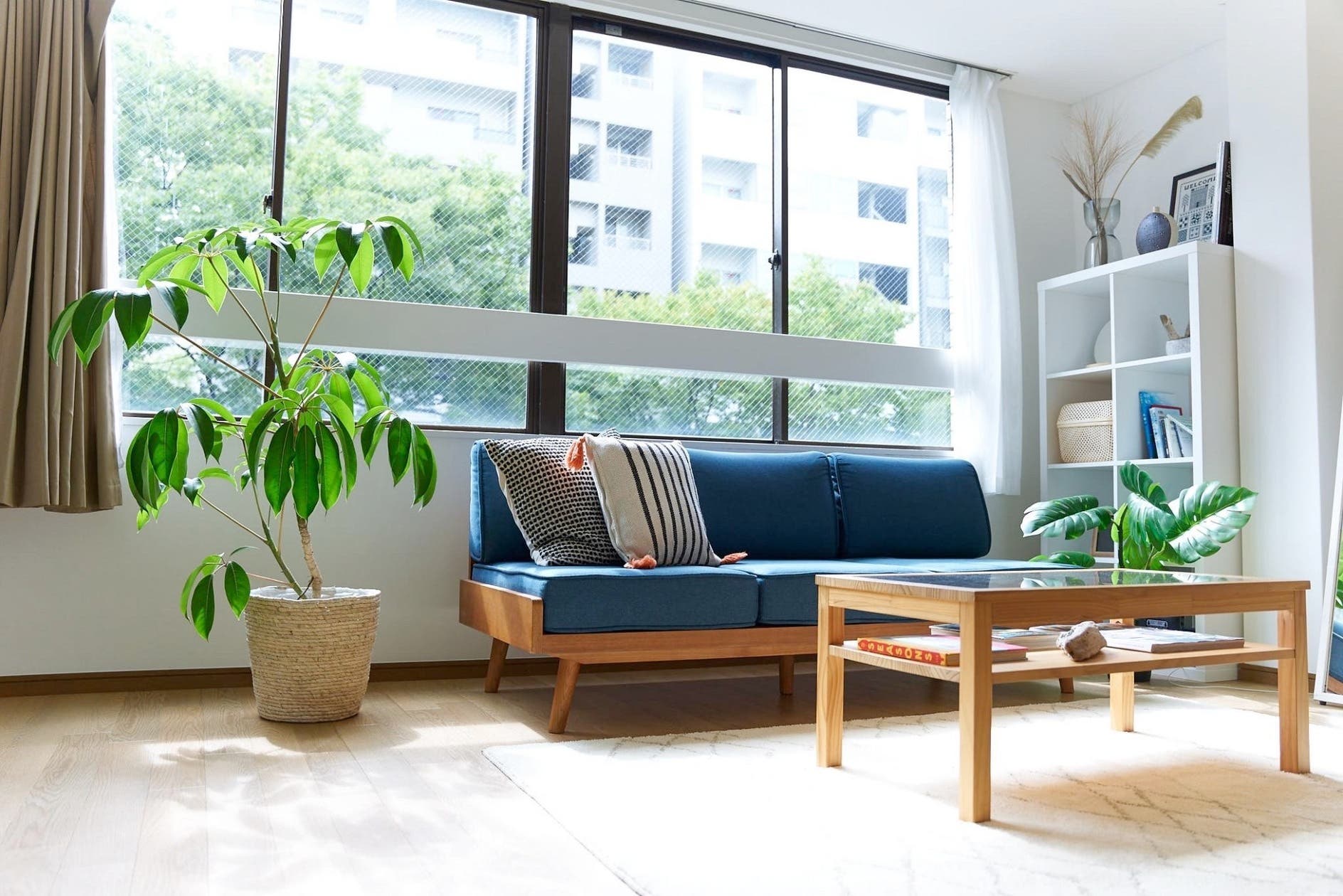 自然光が入るレンタルスペースフォトスタジオの写真22