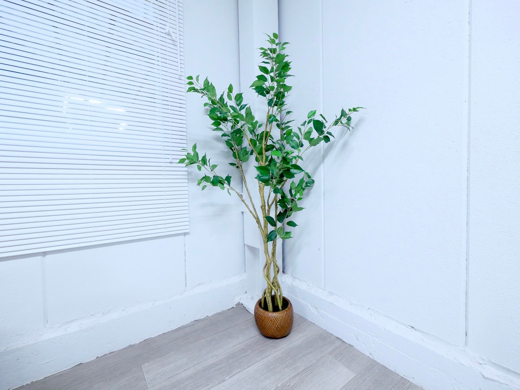 【北千住駅5分】約20平米｜横6m×縦3.5m｜地域最安｜天井高｜清潔感有｜5人位で丁度👍｜毎日清掃🧹｜レンタルスタジオの写真12