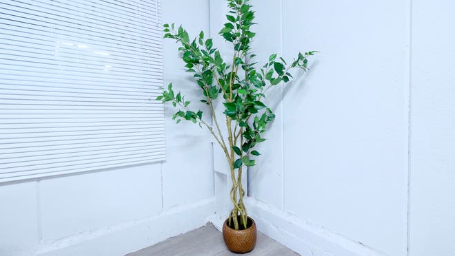 【北千住駅5分】約20平米|横6m×縦3.5m|地域最安|天井高|清潔感有|5人位で丁度👍|毎日清掃🧹|レンタルスタジオの写真12