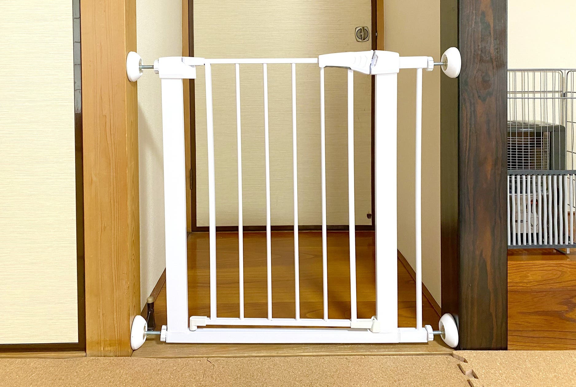 稲田堤駅徒歩9分｜クッションフロア＆おもちゃ・育児グッズが豊富｜一軒家の一階を貸切の写真13