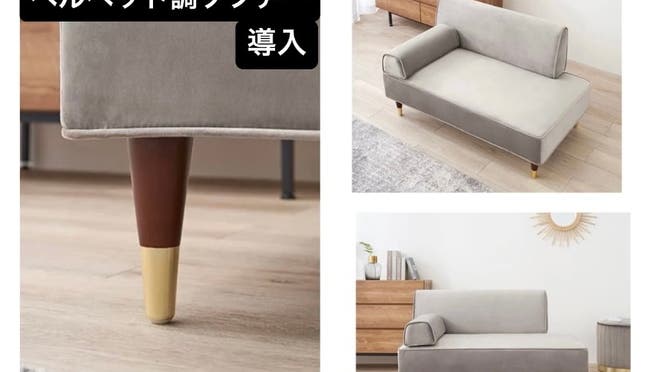 【02💐特割&最大50%OFF🉐】人気の韓国風スタイルで非日常をグッと演出✨💖女子会💑ママ会に最適♪大型撮影ライト付の写真4