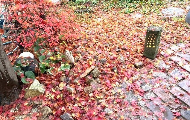 【駐車場無料】ウイリアム・モリスのダンスガーデン！広くてレトロシックな非日常空間は撮影！パーティ！ダンスに！花と緑の庭で撮影も！の写真6