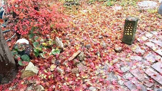 【駐車場無料】ウイリアム・モリスのダンスガーデン!広くてレトロシックな非日常空間は撮影!パーティ!ダンスに!花と緑の庭で撮影も!の写真6