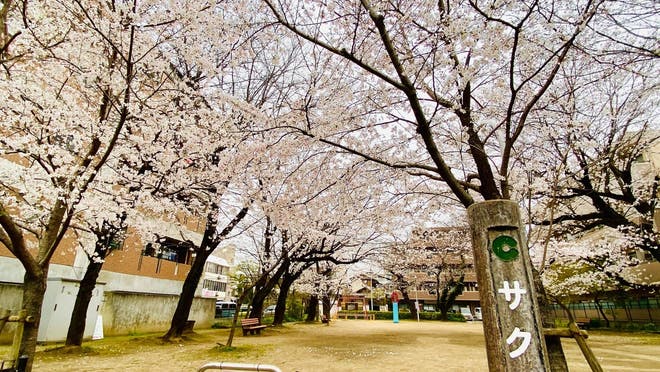 【中央区/味噌天神駅・新水前寺駅すぐ】大型鏡のあるダンススタジオ・ヨガ・レッスン・ワークショップ・余興練習用利用で安い。の写真13
