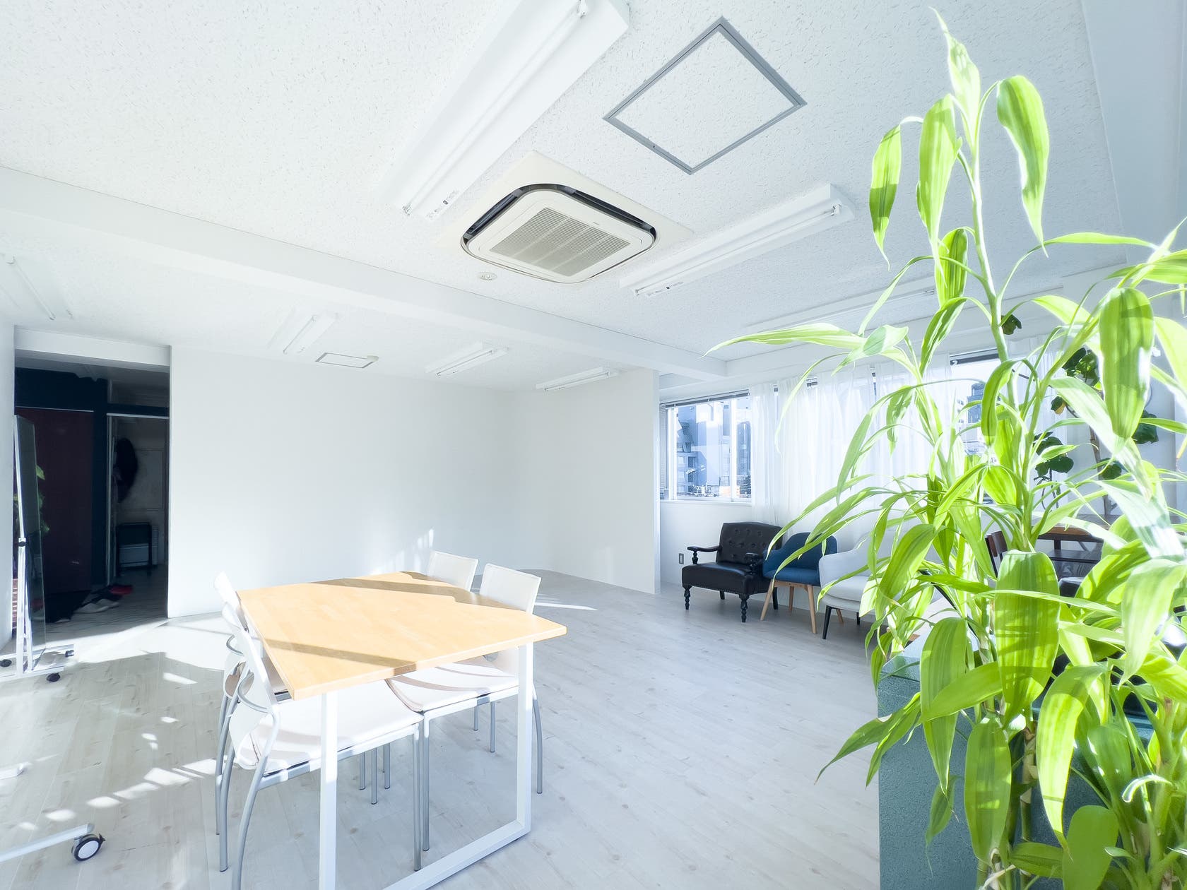 東新宿駅徒歩5分！一日中自然光◎/プロ用照明常設！商用/動画OK！【新宿駅徒歩圏】の写真21