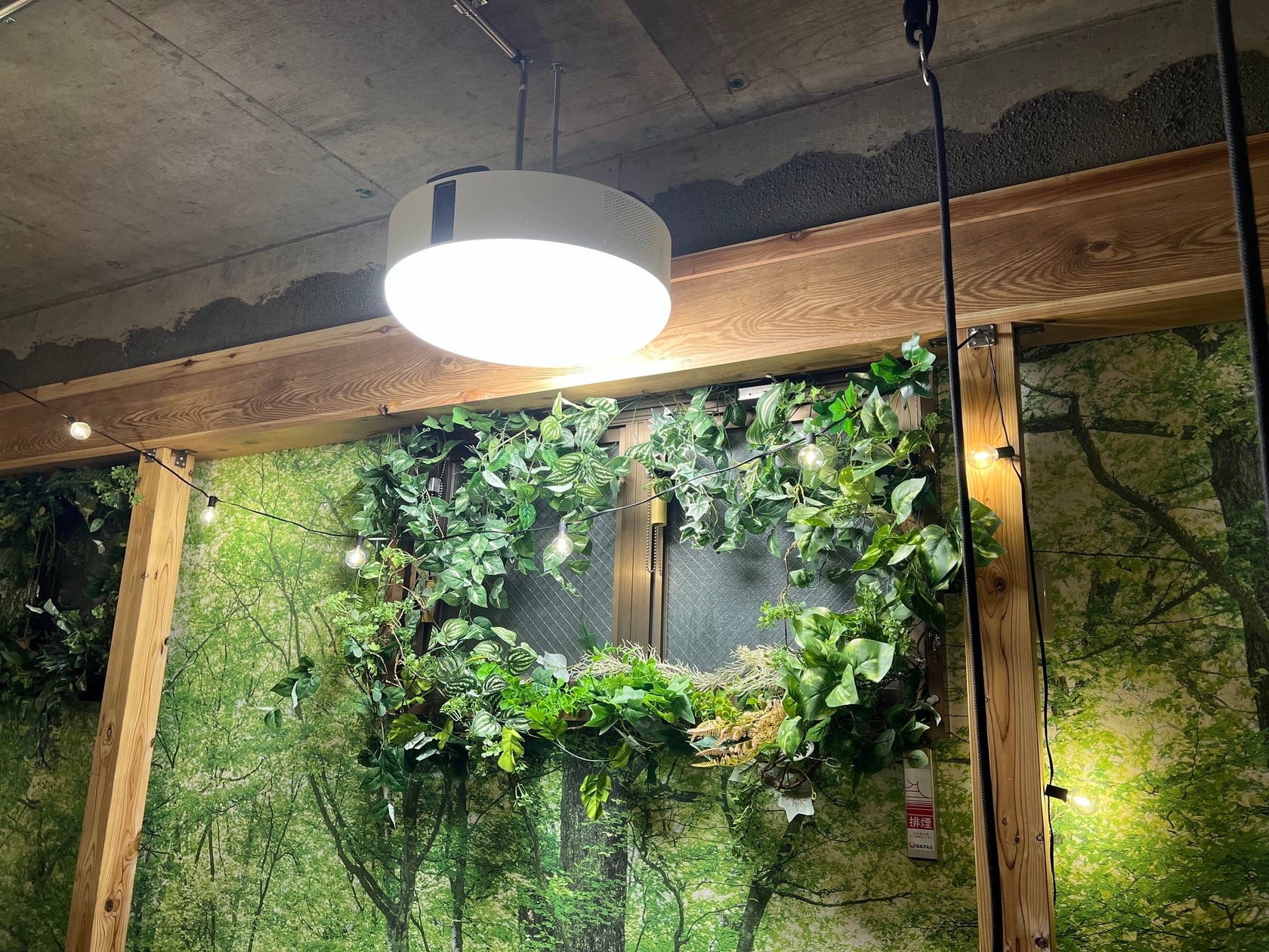  リノスペキャンプ新橋✨クリスマス🎄忘年会・デート・料理・ホームパーティ・飲み会・打ちあげ・歓迎会・撮影収録・ビジネスの写真14