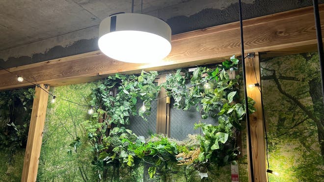 リノスペキャンプ新橋✨クリスマス🎄忘年会・デート・料理・ホームパーティ・飲み会・打ちあげ・歓迎会・撮影収録・ビジネスの写真14