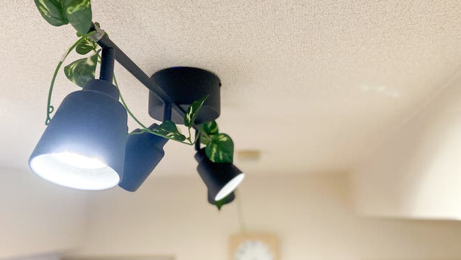 【01💐特割&最大50%OFF🉐】人気の北欧調スタイル👑高級感をグッと演出✨小規模女子会💃おうちデートに/大型撮影リングライト付の写真12