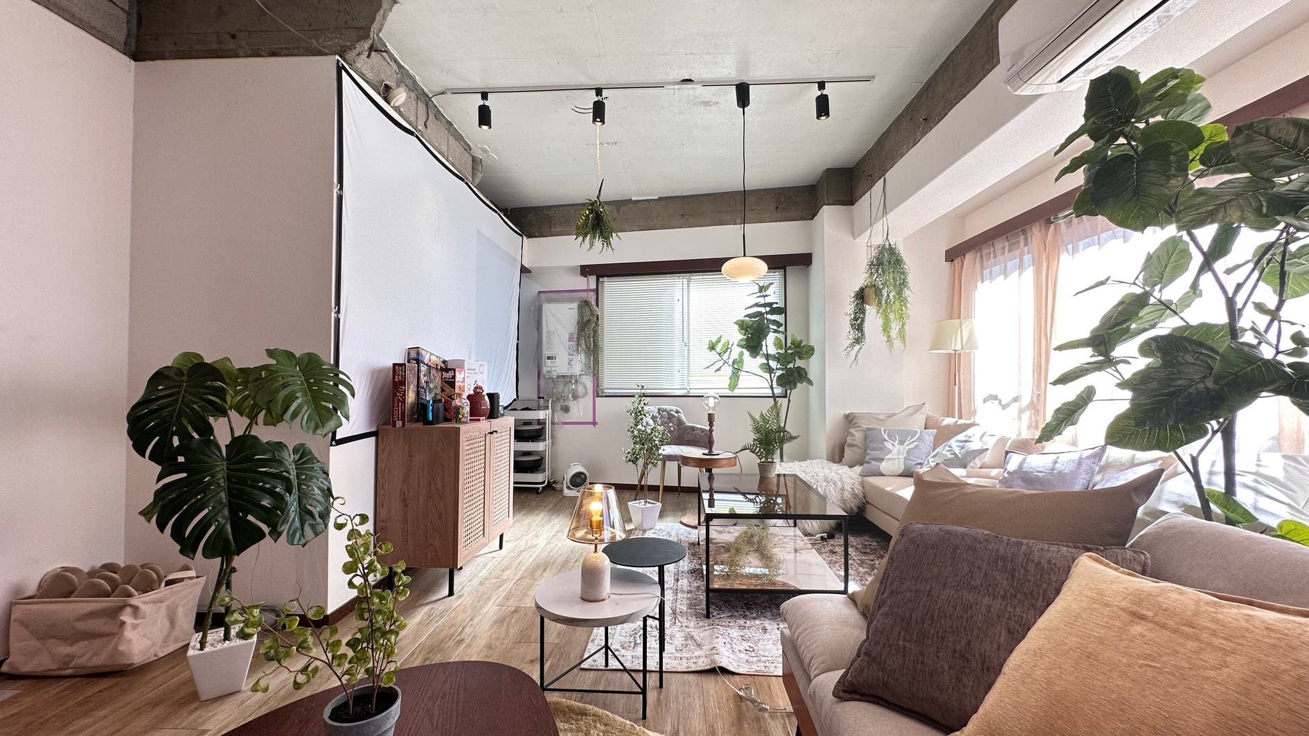 #シノハラGoburin301【渋谷/神泉】駅5分 クリスマス🎄忘年会🤶🌸学割🌸🎥プロジェクター🥂推し活💓格安💰の写真5