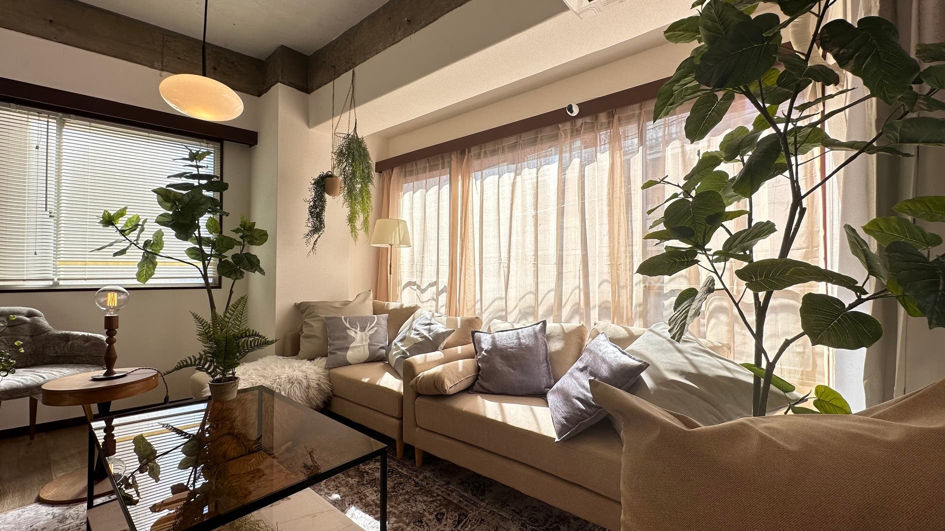 #シノハラGoburin301【渋谷/神泉】駅5分 クリスマス🎄忘年会🤶🌸学割🌸🎥プロジェクター🥂推し活💓格安💰の写真9