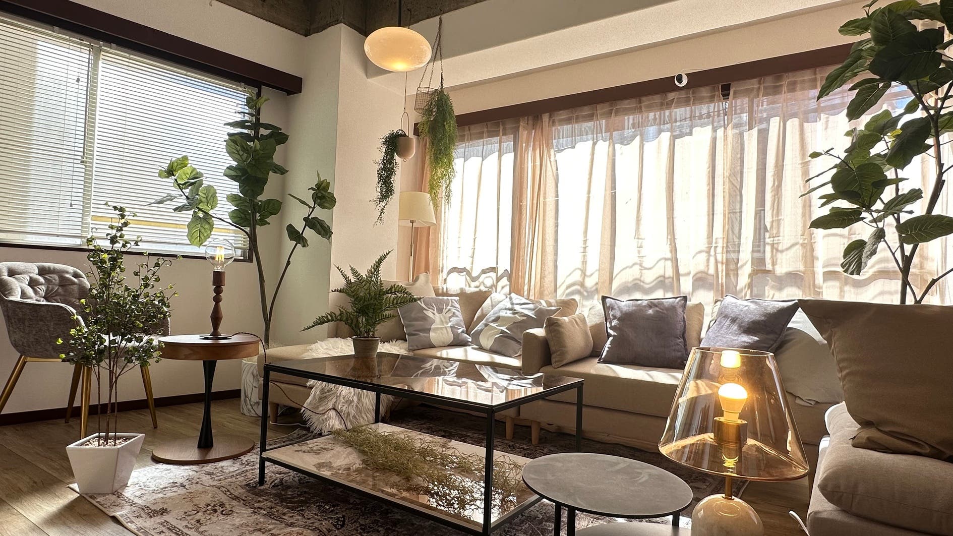 #シノハラGoburin301【渋谷/神泉】駅5分 クリスマス🎄忘年会🤶🌸学割🌸🎥プロジェクター🥂推し活💓格安💰の写真15