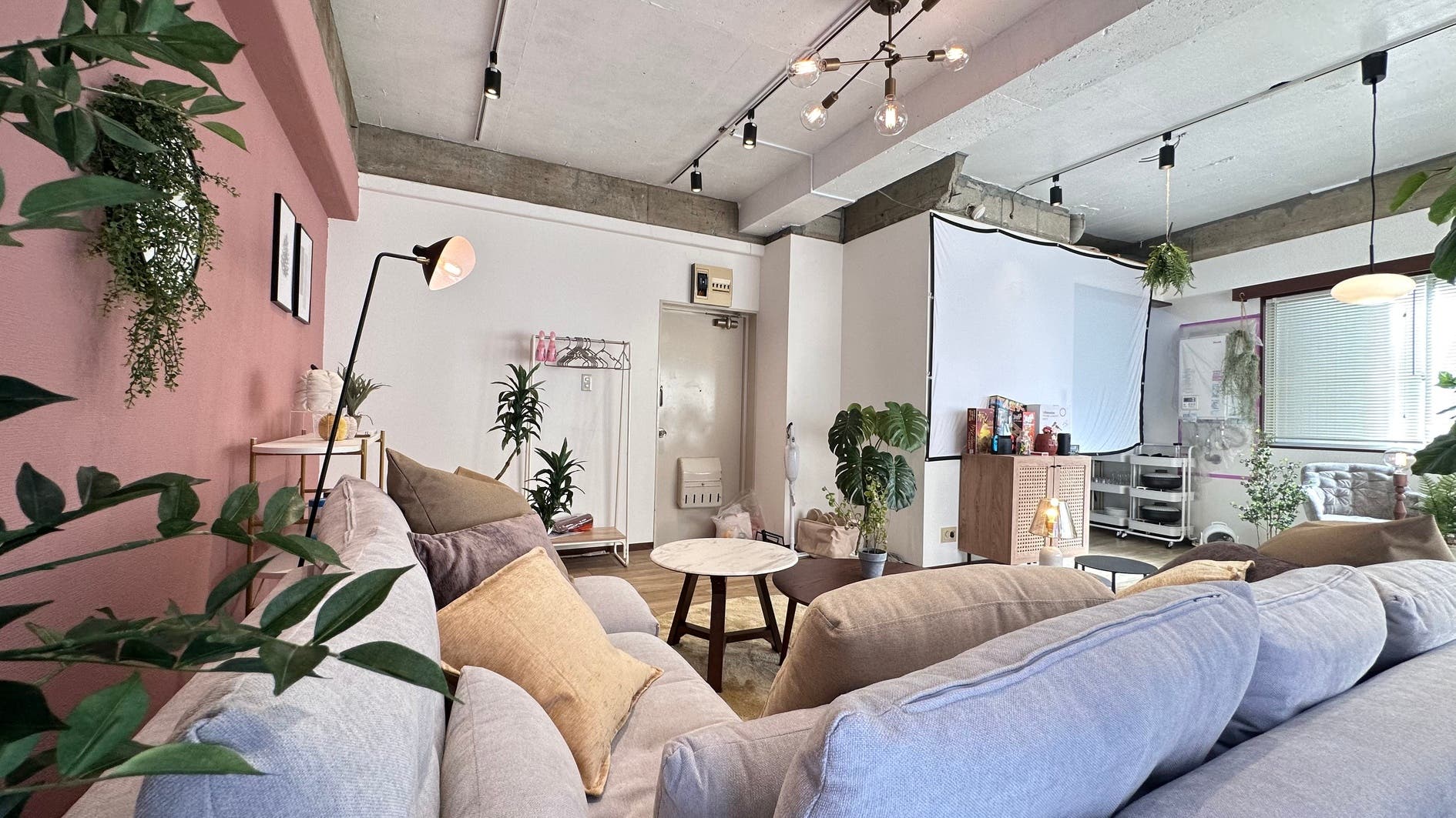 #シノハラGoburin301【渋谷/神泉】駅5分 クリスマス🎄忘年会🤶🌸学割🌸🎥プロジェクター🥂推し活💓格安💰の写真14