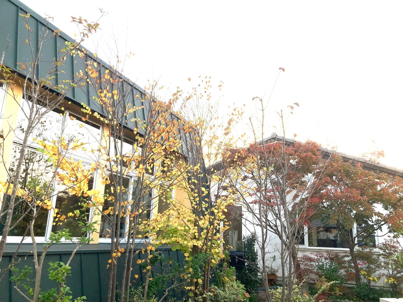 【駐車場無料】ウイリアム・モリスのダンスガーデン！広くてレトロシックな非日常空間は撮影！パーティ！ダンスに！花と緑の庭で撮影も！の写真13