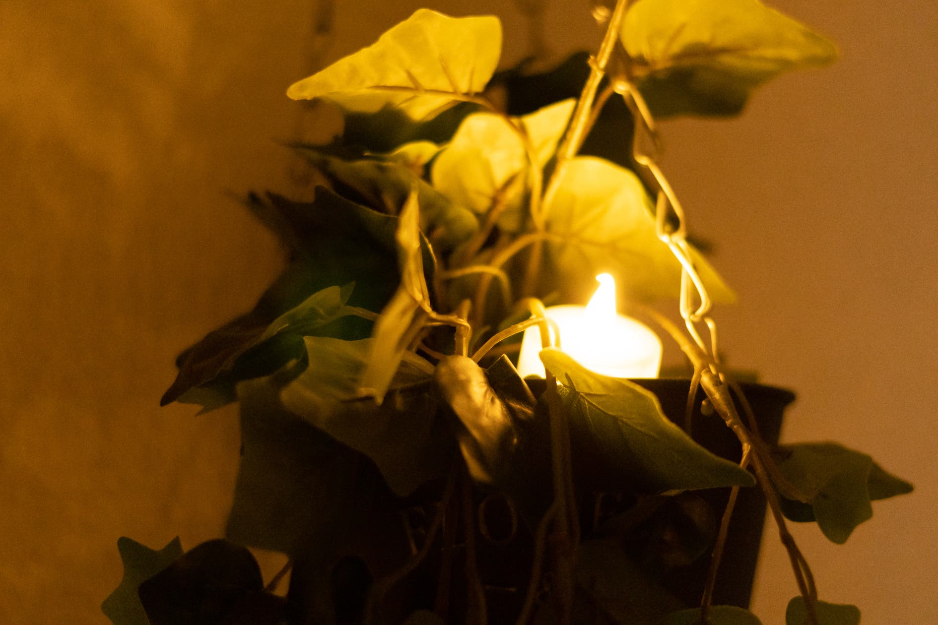 【大阪/梅田】超好立地☆直前🈹おうちデート・女子会に🌸くつろぎ空間✨ゴミ捨て可🌈コンビニ前／ラシエの写真27