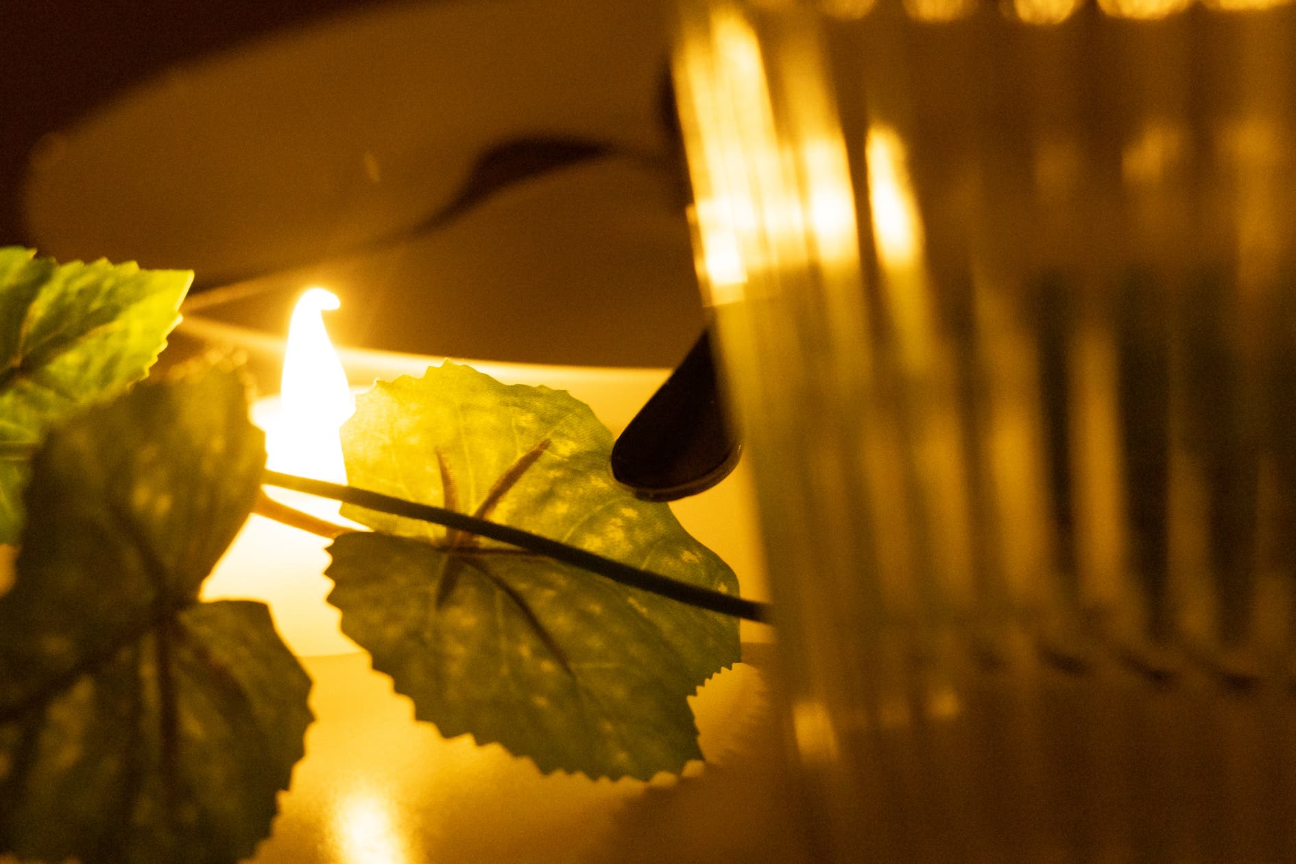 【大阪/梅田】超好立地☆直前🈹おうちデート・女子会に🌸くつろぎ空間✨ゴミ捨て可🌈コンビニ前／ラシエの写真28