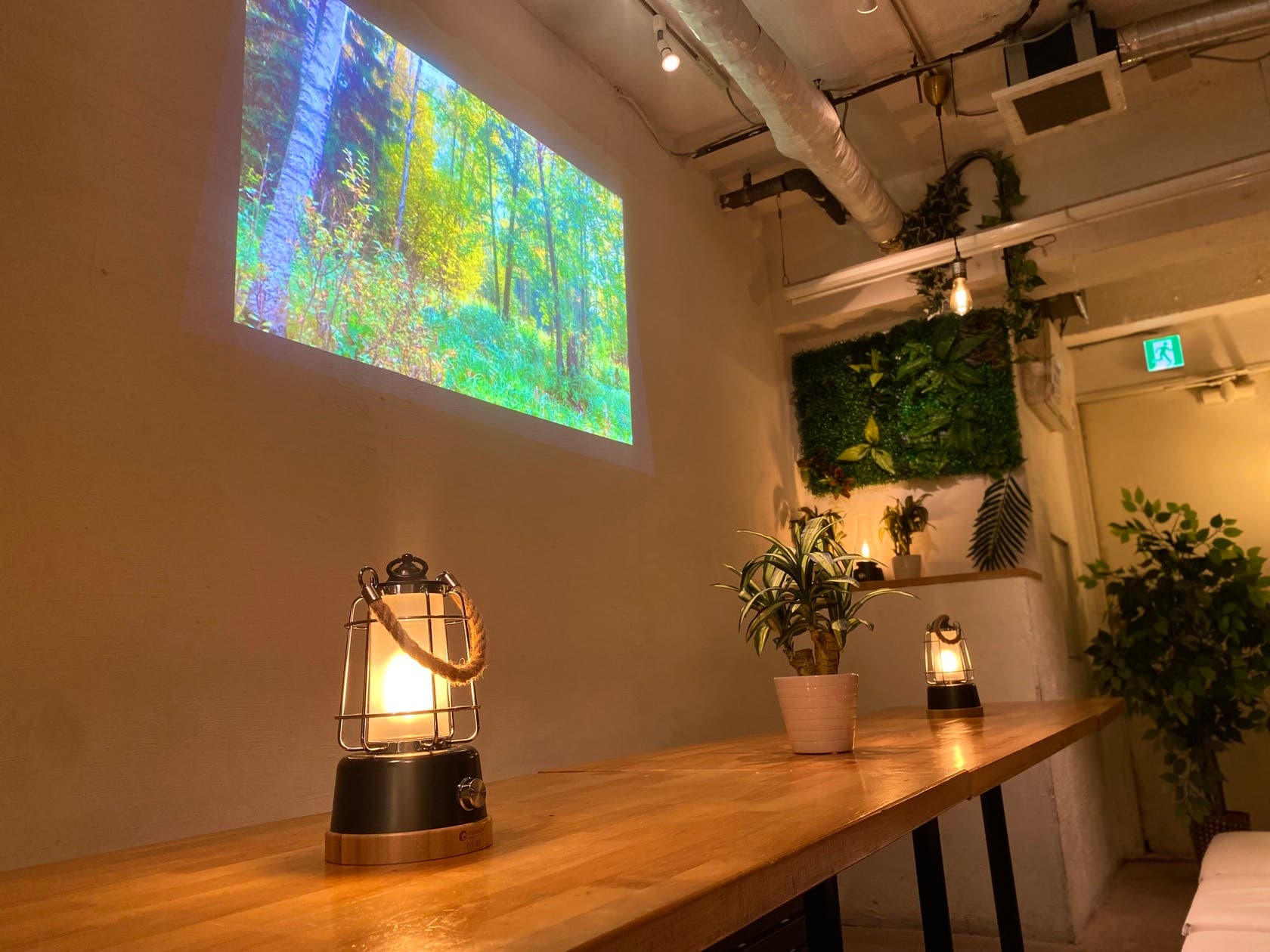 【貸切テラス付き/渋谷駅1分】グランピングBBQ/ケータリングパーティー/各種イベント/推し会/プロジェクター/ゴミ回収ありの写真11