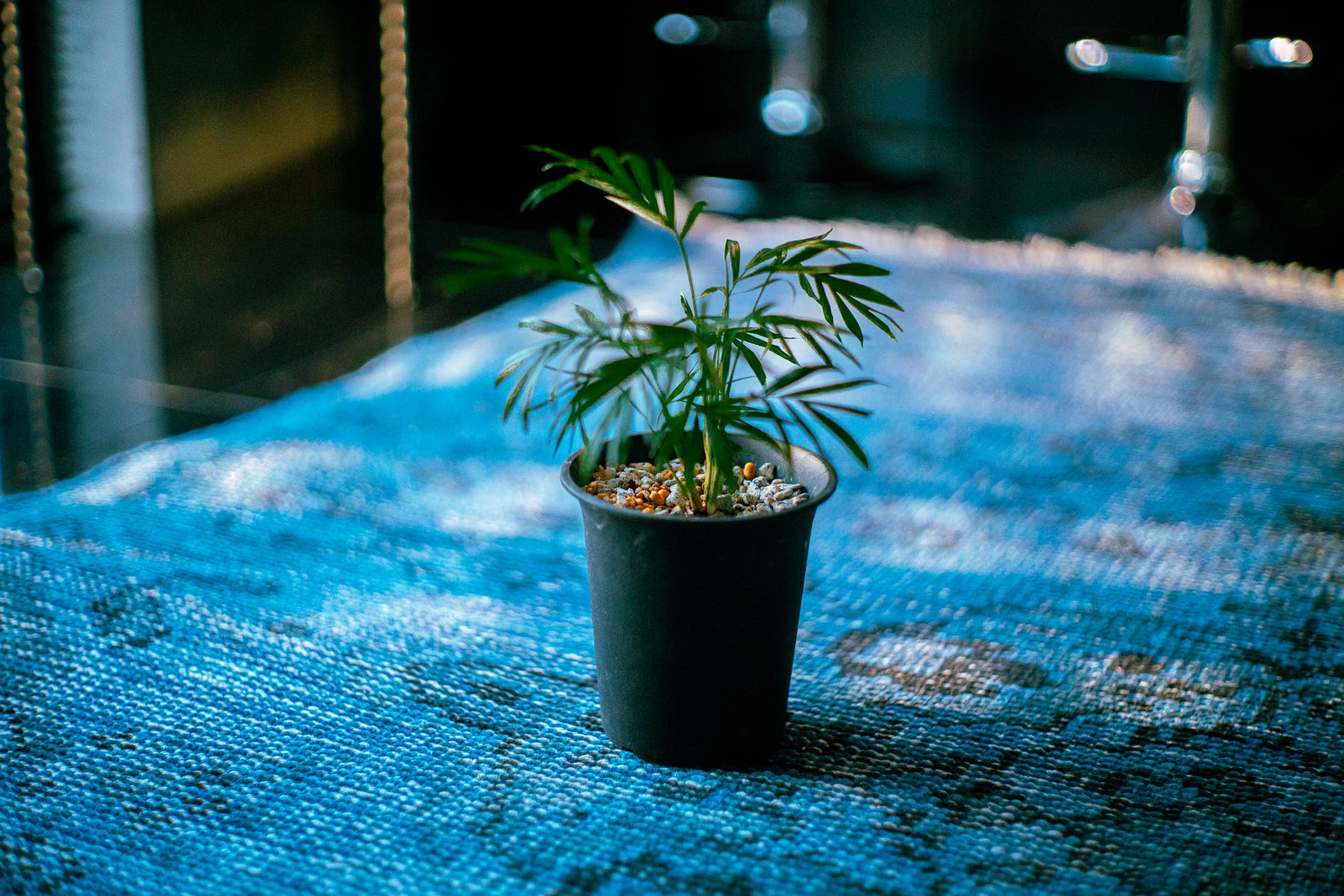 「85studio」渋谷区、幡ヶ谷駅から徒歩12分のコンクリート打ち放しの撮影スタジオの写真10