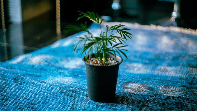 「85studio」渋谷区、幡ヶ谷駅から徒歩12分のコンクリート打ち放しの撮影スタジオの写真10