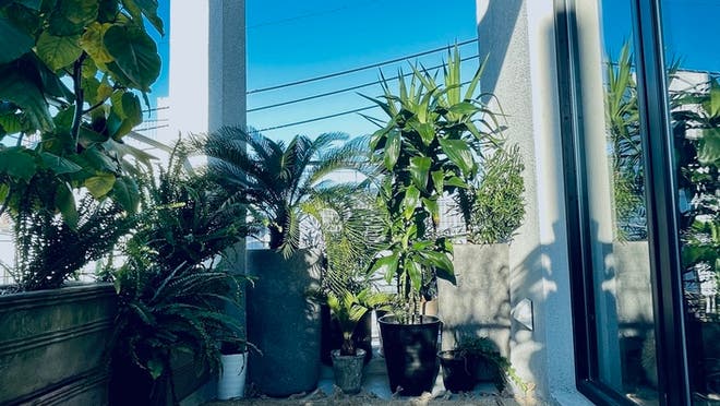 「85studio」渋谷区、幡ヶ谷駅から徒歩12分のコンクリート打ち放しの撮影スタジオの写真12