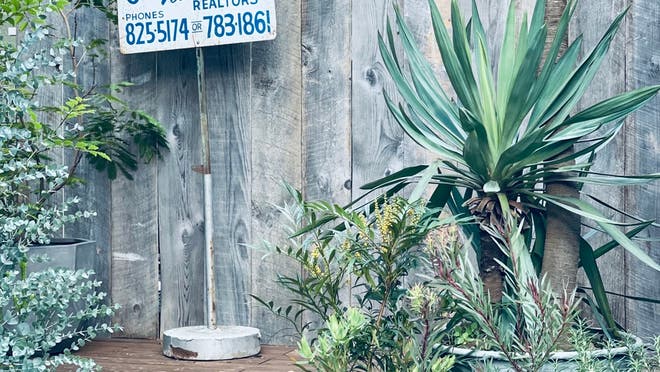 sight one笹塚は、新宿からほど近い、笹塚駅から徒歩6分の1軒家の ハウススタジオ。2026年2月まで近隣で工事音がしますの写真22