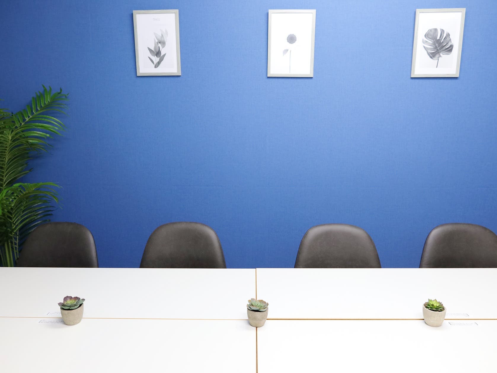 🌈24時間<西武新宿駅4分>パーティー・会議・塾・教室・WEB面談に最適！🎉/V6プラス光・軽飲食可🤩ママ会•テレワプラン新設！の写真14