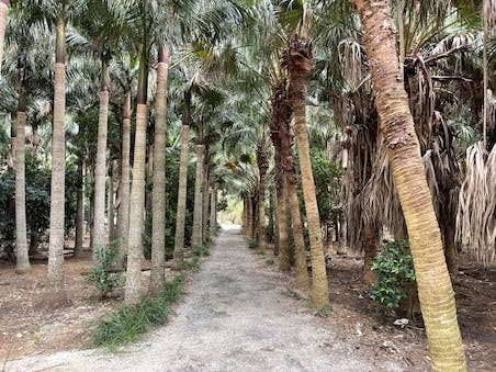 海外リゾートの中にtripしたと錯覚を起こす程のSpecial空間<撮影・イベント・パーティ・BBQ>の写真4