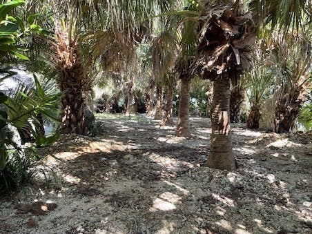 海外リゾートの中にtripしたと錯覚を起こす程のSpecial空間<撮影・イベント・パーティ・BBQ>の写真12