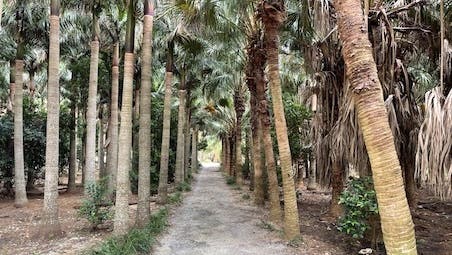 海外リゾートの中にtripしたと錯覚を起こす程のSpecial空間<撮影・イベント・パーティ・BBQ>の写真13