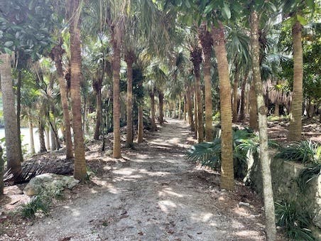 海外リゾートの中にtripしたと錯覚を起こす程のSpecial空間<撮影・イベント・パーティ・BBQ>の写真14