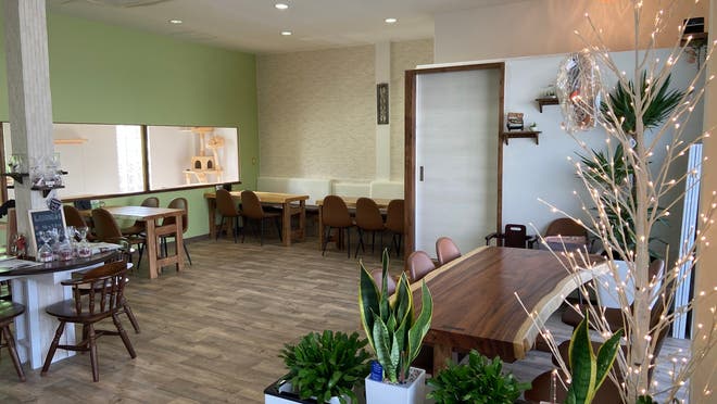 木のぬくもりに包まれたくつろぎ空間の写真2