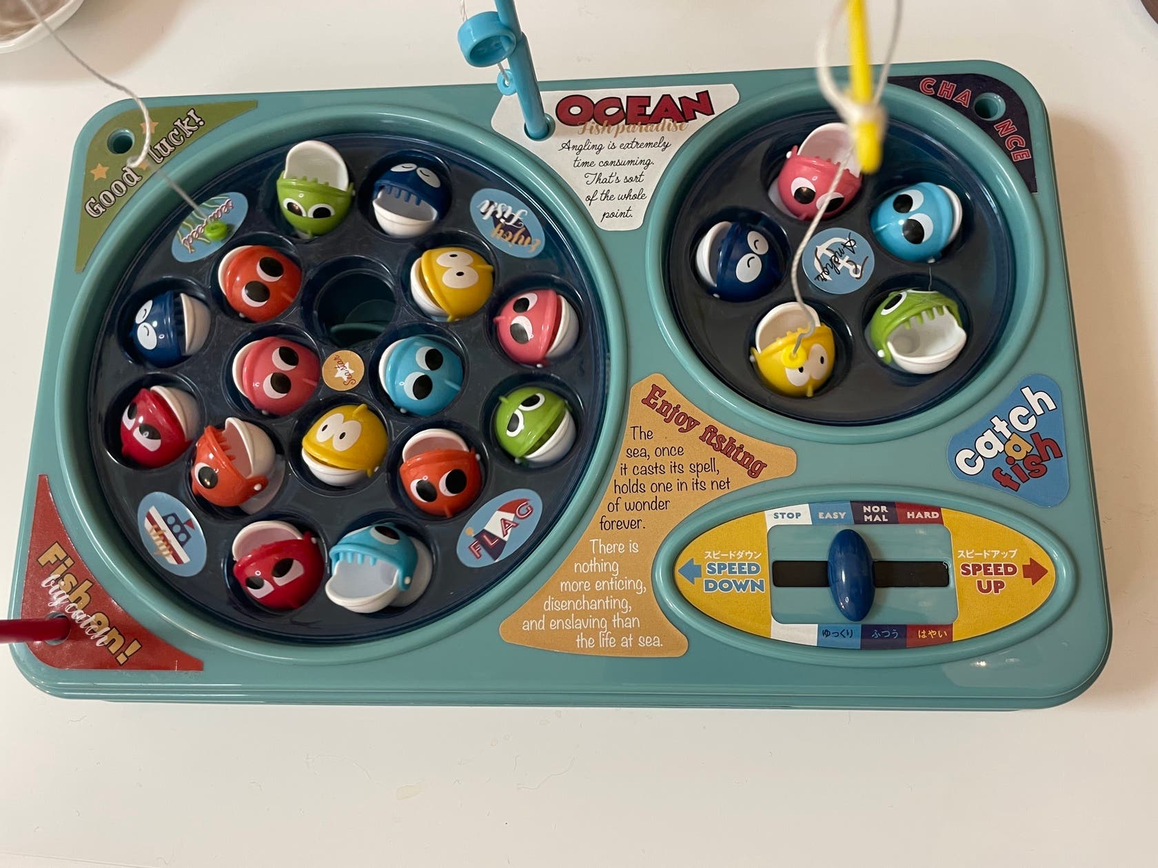 11月閉店🕊金山駅徒歩4分のかわいいプライベート空間🤍自然光が入る角部屋📷の写真5