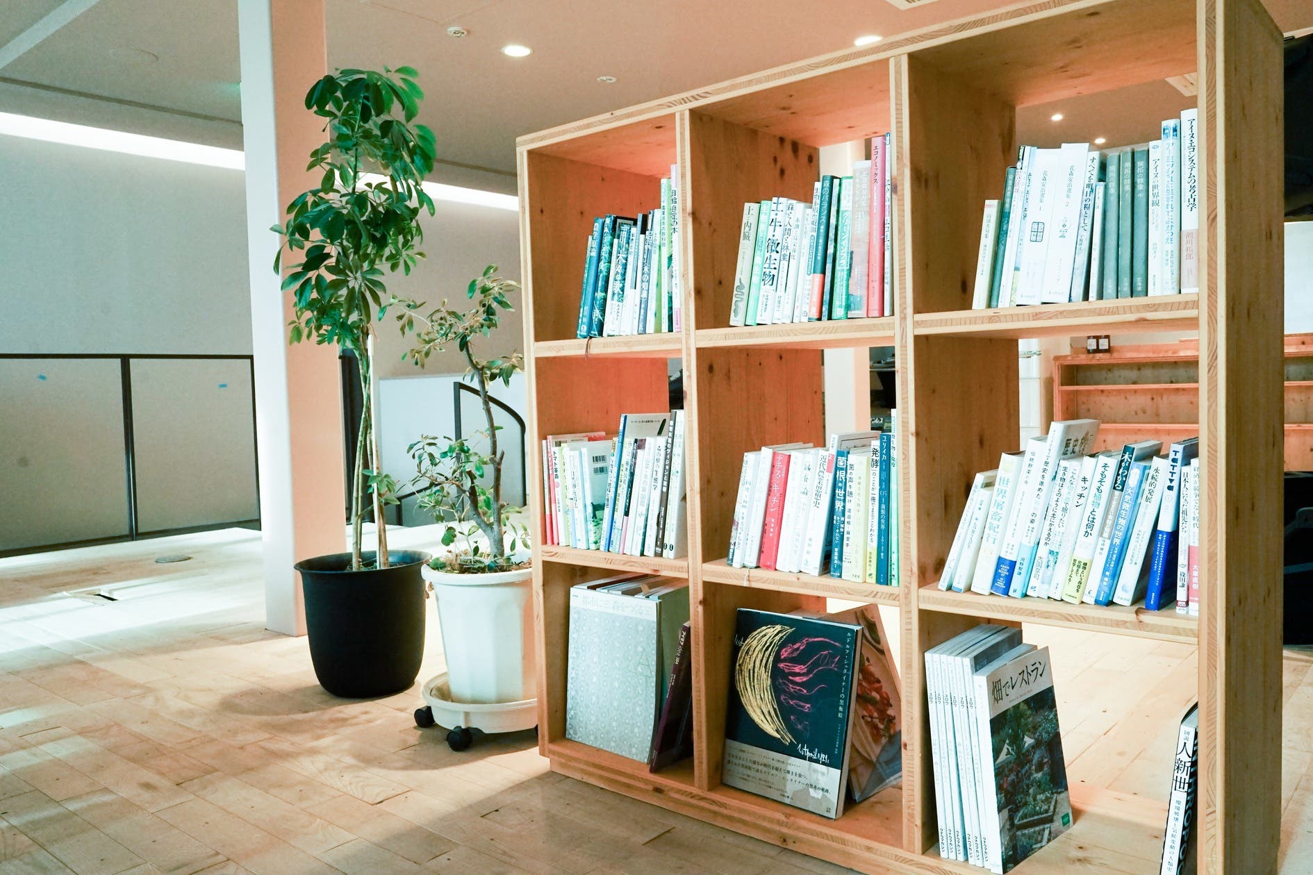 【コワーキング席】自然光と木の温かみのあるスペースで作業(一名用)の写真11