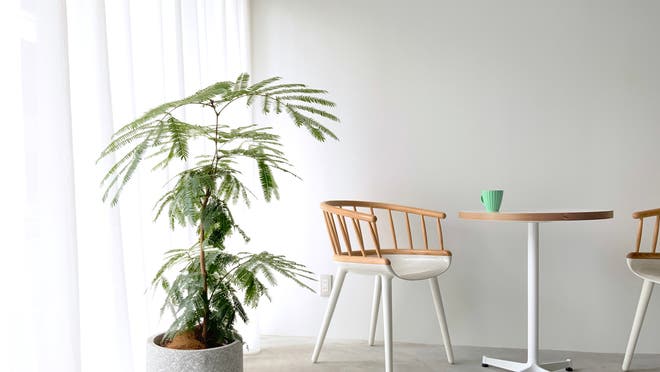 【東日本橋駅3分】アパレルのスチール撮影、アート展等のギャラリー用途、ポップアップストアや展示会に最適な路面のレンタルスペースの写真4