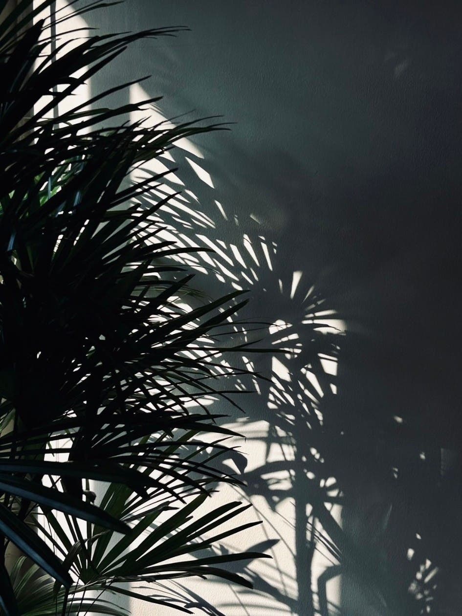 四谷三丁目駅・曙橋駅から徒歩4分のシーシャ屋。新宿から2駅。の写真7