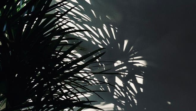 四谷三丁目駅・曙橋駅から徒歩4分のシーシャ屋。新宿から2駅。の写真7