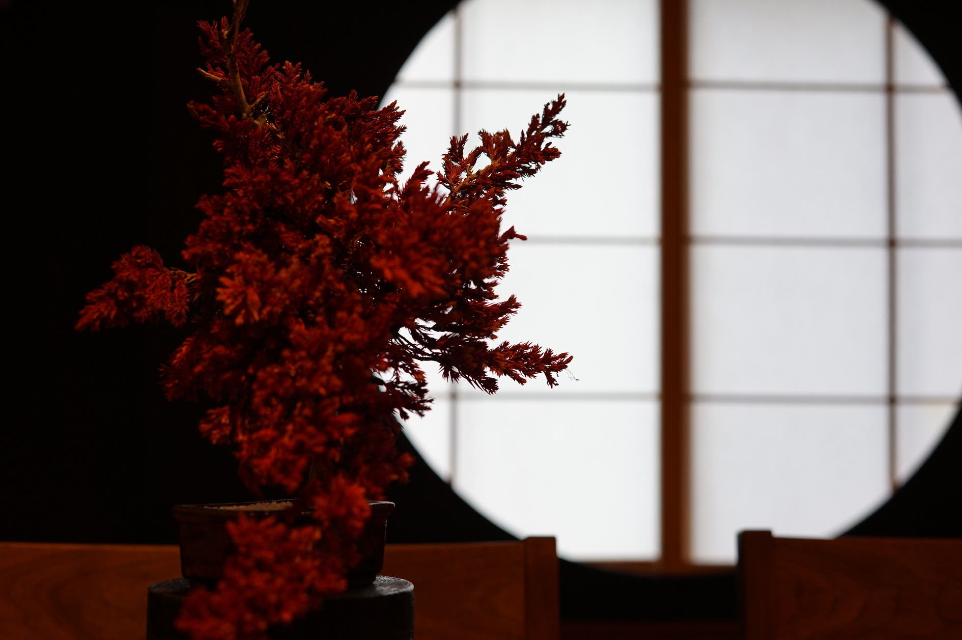 落着いた雰囲気の本格BAR仕様｜各種撮影、ロケ、動画配信、会議、セミナーなどに◎｜虎ノ門・神谷町、駅徒歩２分！の写真12