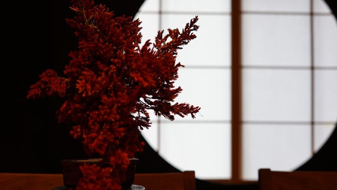 落着いた雰囲気の本格BAR仕様|各種撮影、ロケ、動画配信、会議、セミナーなどに◎|虎ノ門・神谷町、駅徒歩2分!の写真12