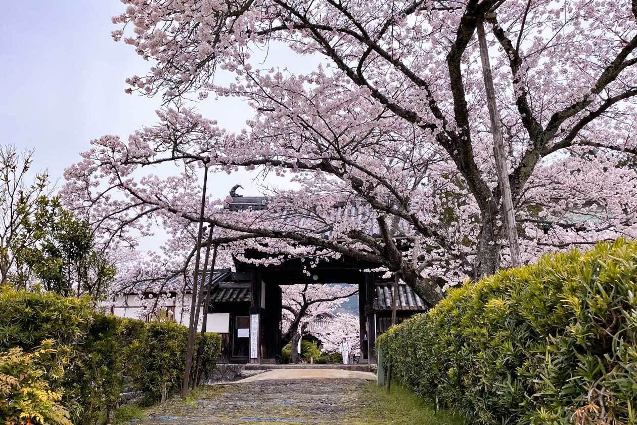 【あすかのまほろば】江戸時代に建てられた修繕中の木造古民家を限定公開。やすらぎとくつろぎのひと時を過ごしませんか？の写真29