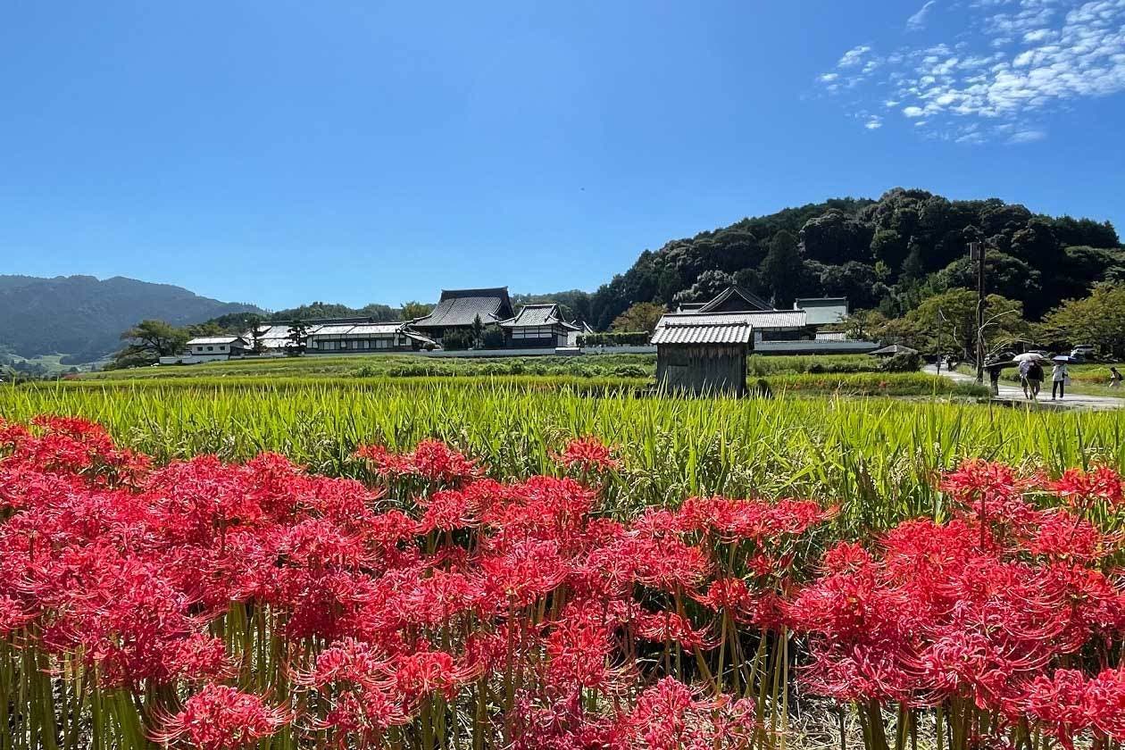 【あすかのまほろば】江戸時代に建てられた修繕中の木造古民家を限定公開。やすらぎとくつろぎのひと時を過ごしませんか？の写真28