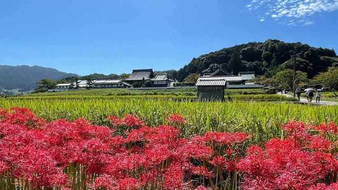 【あすかのまほろば】江戸時代に建てられた修繕中の木造古民家を限定公開。やすらぎとくつろぎのひと時を過ごしませんか?の写真28