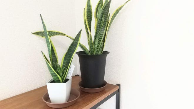 曜日貸し会員様専用marvelous(一般の方はご予約できません)の写真1