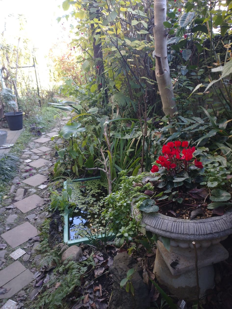 隠れ家的一戸建て多目的貸室! ! 各種イベント・楽器練習＆コンサート・パーティー等にどうぞ！の写真11