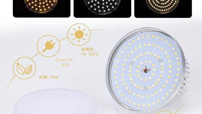 🎁冬の特別プラン⛄撮影機材無料|上野駅1分|自然光|ポートレート|コスプレ撮影|シンプルスタジオ|光WiFiの写真10