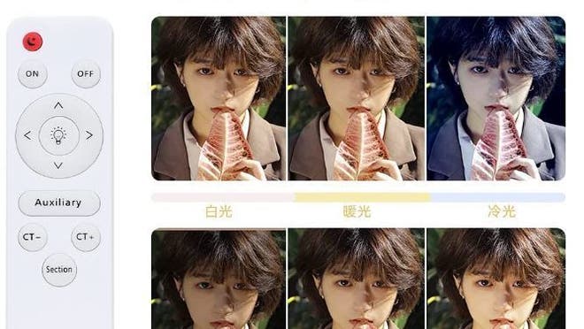 🎁冬の特別プラン⛄撮影機材無料|上野駅1分|自然光|ポートレート|コスプレ撮影|シンプルスタジオ|光WiFiの写真15