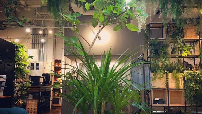 ✨OPEN SALE✨<EXPRESSION>イベントスペース:撮影・オフサイトMTG・懇親会など♪高速WiFi/音響設備の写真23