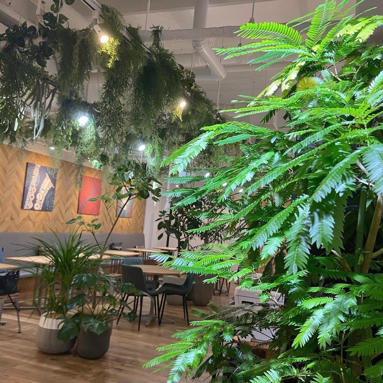 ✨OPEN SALE✨＜EXPRESSION＞イベントスペース：撮影・オフサイトMTG・懇親会など♪高速WiFi/音響設備の写真11