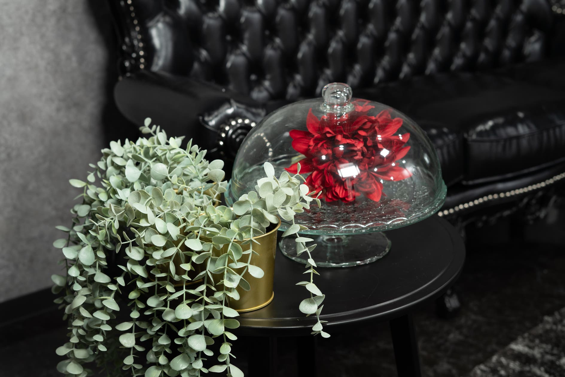 スペモ📷クリスマス🎄おしゃれ🌹撮影Studio📸💖コスプレ👗ポートレート✨325_S-Studio大阪難波の写真18